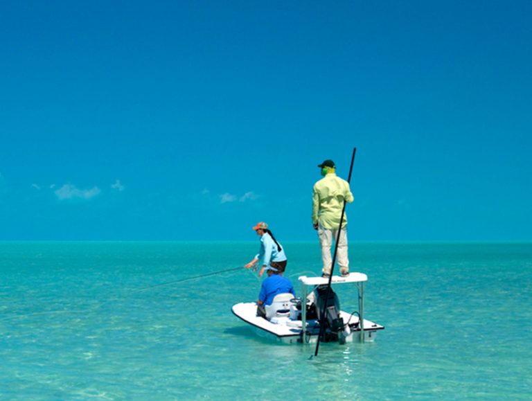 Home - Island Destination Services